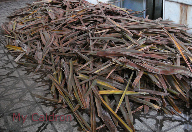 Shiraz “bagh-e safa” | My Caldron